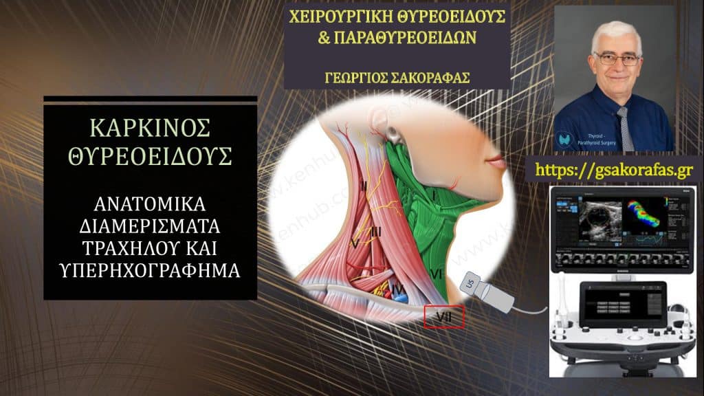 Καρκίνος θυρεοειδούς και λεμφαδένες (μεταστάσεις στο 50 – 70 % των ...